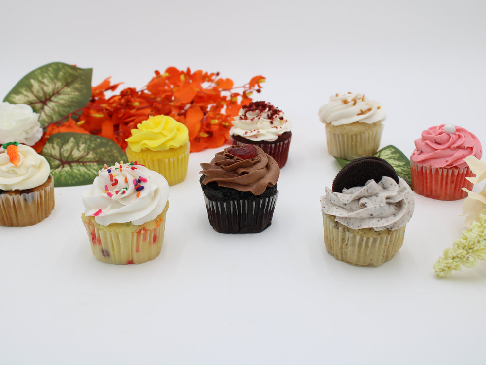 Resources - Cakes Plus Tampa